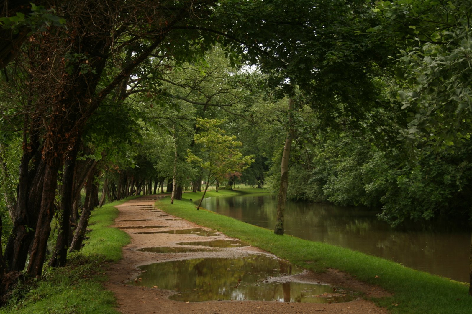 Bev's Antiquing, Schlepping, Schlogging, & Writing Blog Schlog ...