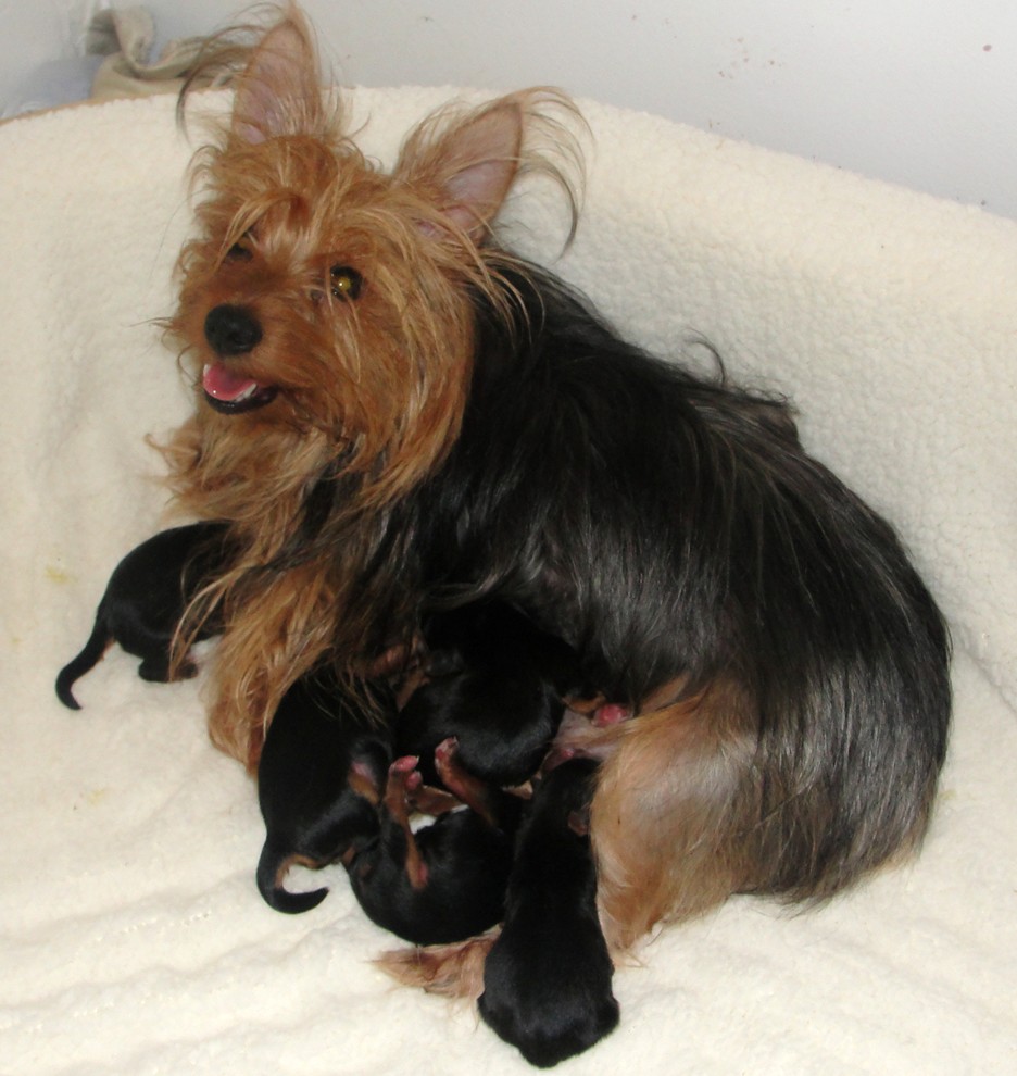 Bev's Antiquing, Schlepping, Schlogging, & Writing Blog Schlog: Zach ...