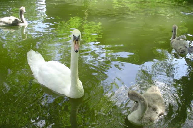 Bev's Antiquing, Schlepping, Schlogging, & Writing Blog Schlog: Tales ...