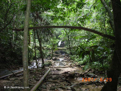 SiputKuning Journal: Kuala Lumpur's Urban Rainforests