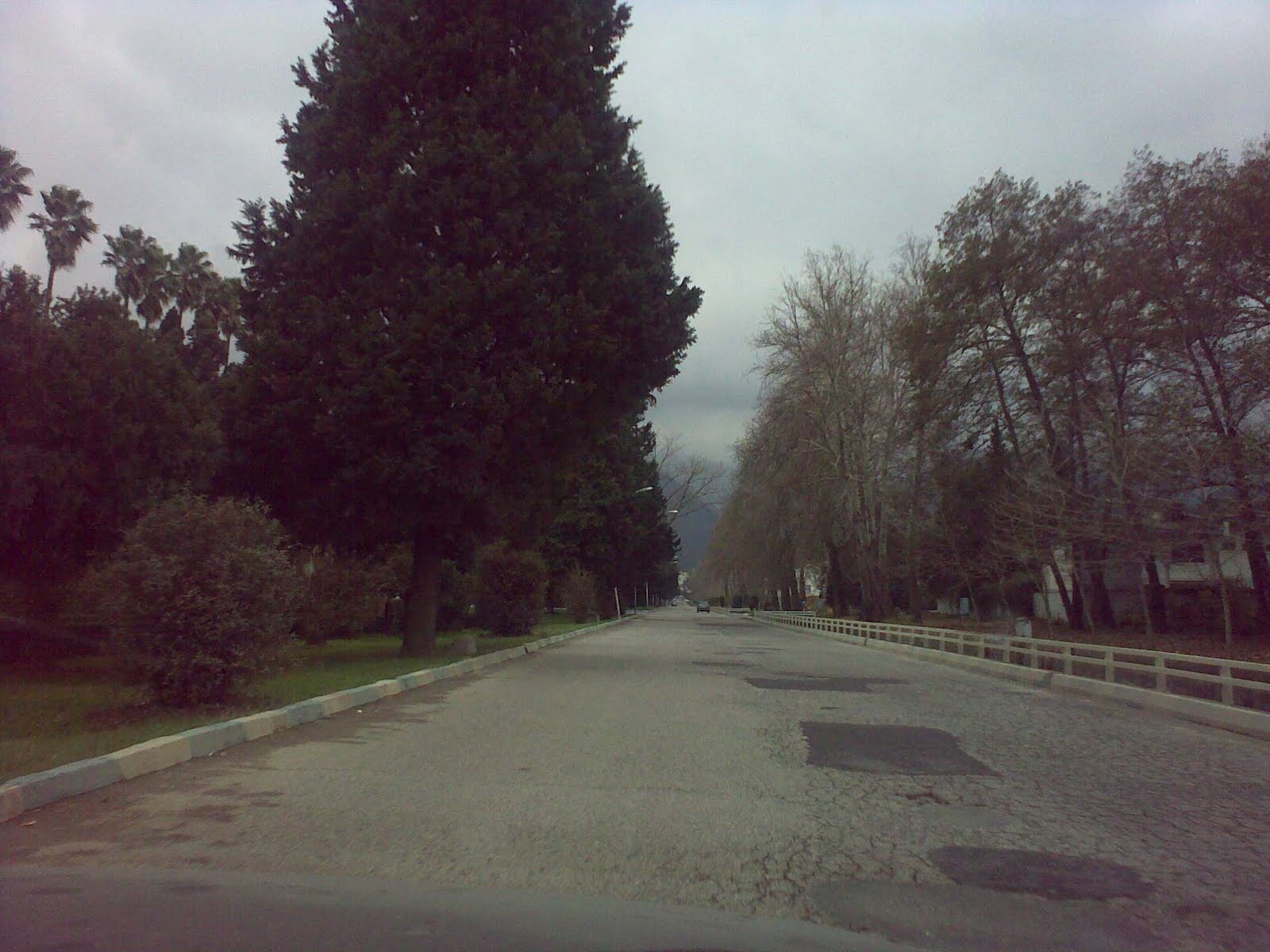 Iran Travel, Tourism Blog: Ramsar Telecbin (Cable Car) resort