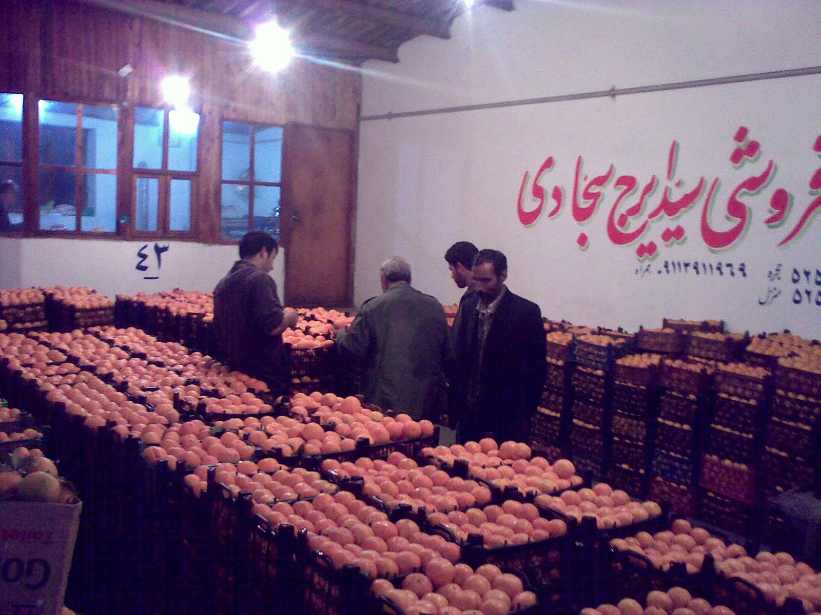 Iran Travel, Tourism Blog: Iranian fruits and gardens