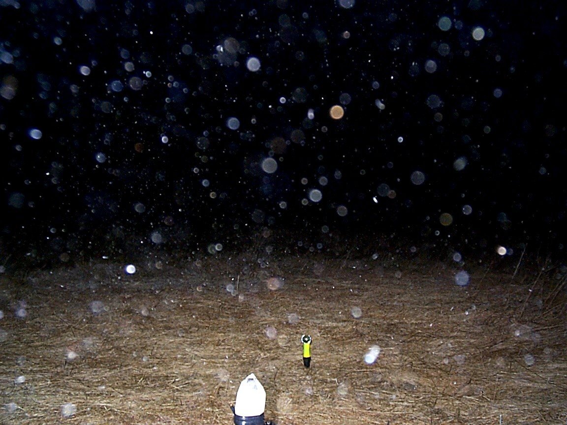 Grandes Mistérios do Universo: Orbs