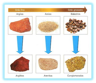 Terra Viva: Classificação
