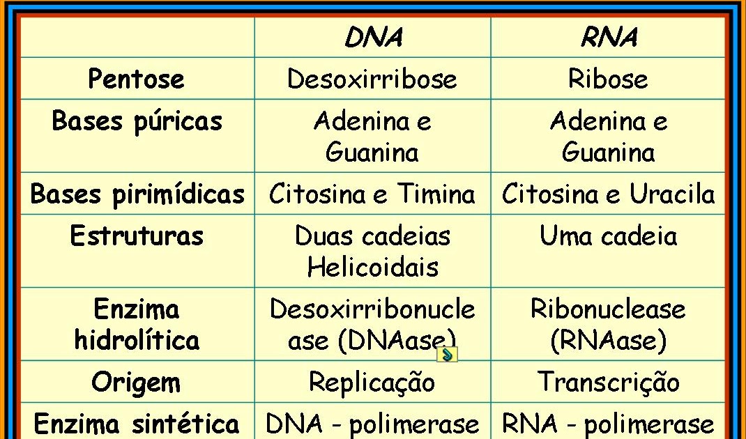 Terra Viva: DNA e RNA