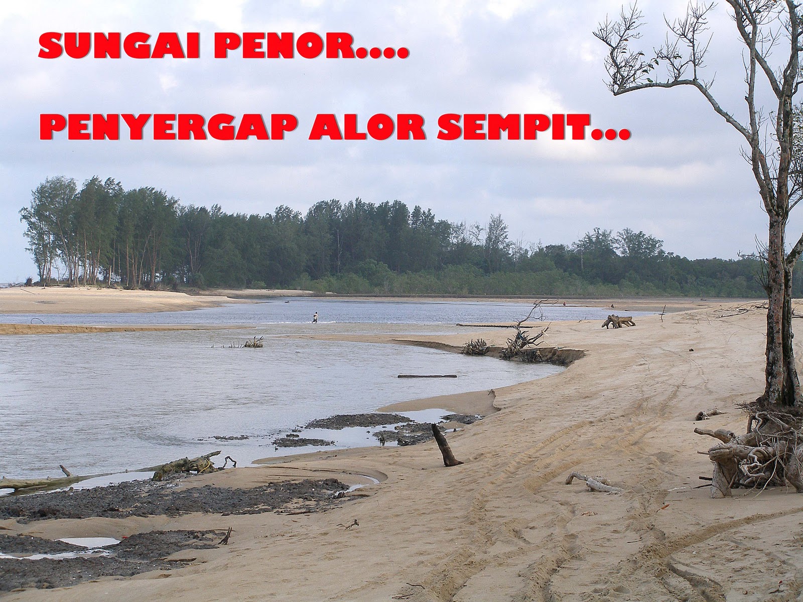 SIAKAP SUNGAI PENOR