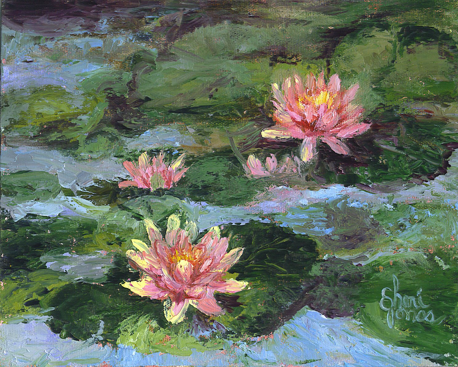 Asaz flora y fauna: Sheri Jones, flores, flora