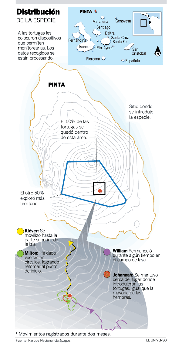 Huagra Ñaupa: Tortugas híbridas abren camino para recuperar isla Pinta