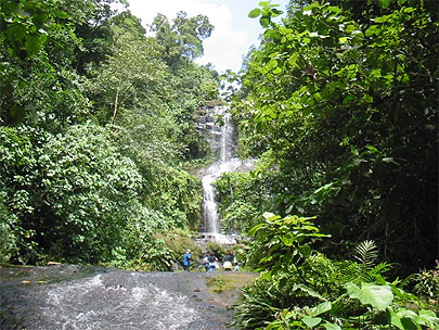 Huagra Ñaupa: Mache Chindul, una exuberante reserva tropical amenazada