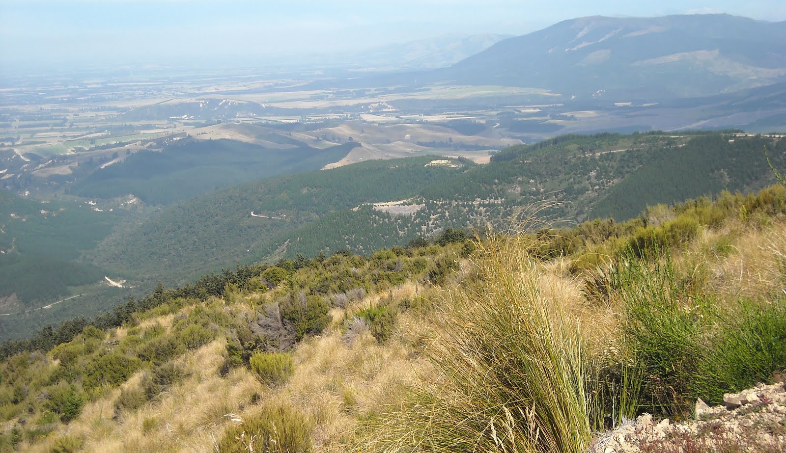 Woza Wanderer: Mt Grey Ghosts