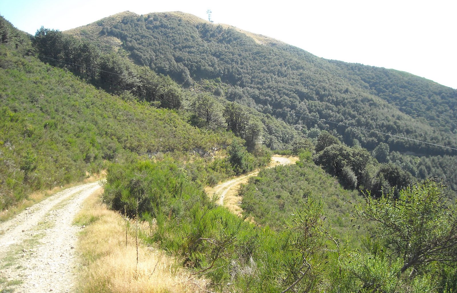 Woza Wanderer: Mt Grey Ghosts