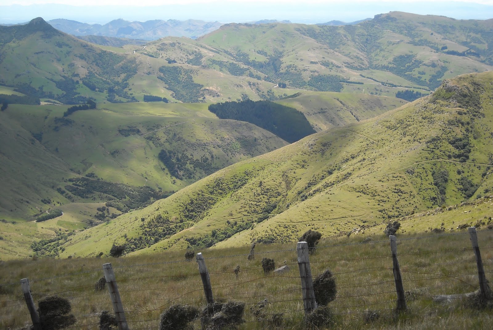 Woza Wanderer: Waipuna Saddle and Mt Fitzgerald, Banks Peninsula