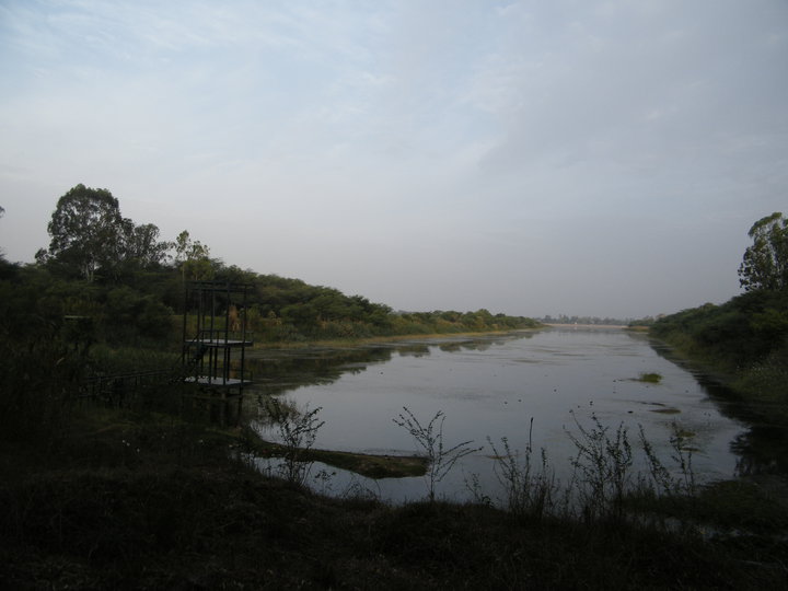 CATS: Photo Gallery: Sukhna Nature Trail 3