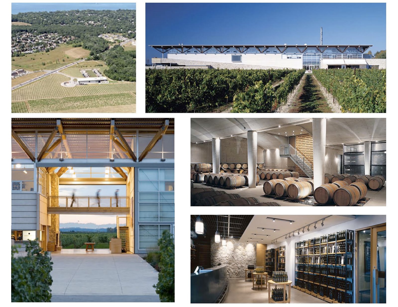 kccdesigns: Jackson-Triggs Niagara Estate Winery