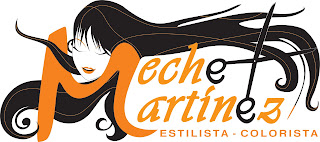 VECTOR ANDANTE: Logo Meche Martinez