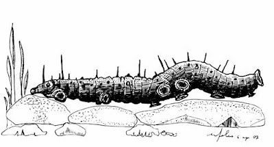 Arte della Natura: ANIMALI DEFORMI E MOSTRI INQUIETANTI: è la Natura ...