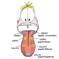 I pensieri diventano destino: STORIA DELLA LINGUA