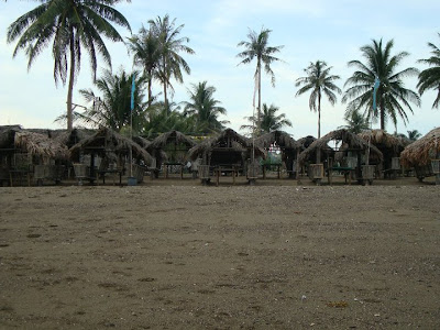 summer capital of camarines sur ( PASACAO): VILLA CONSUELO BEACH RESORT