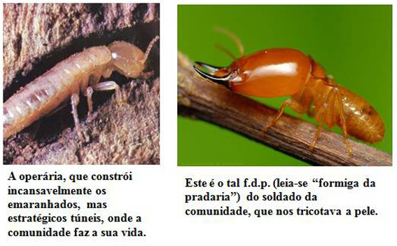 Luís Graça & Camaradas da Guiné: Guiné 63/74 - P7342: Doenças e outros ...