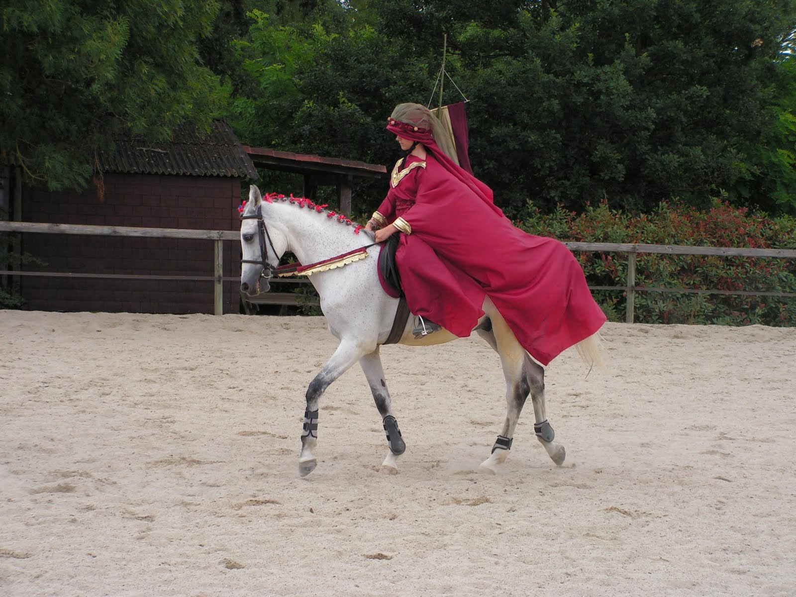 Le cavalier et son cheval: L'esprit du cavalier