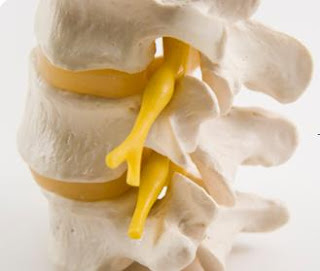 North American Spine: What is AccuraScope?