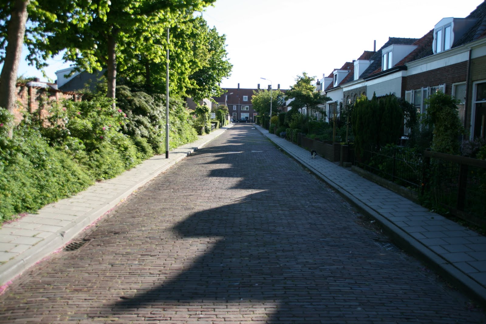 ViaRoof: Blauw in de straat