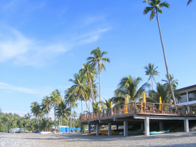 Photographs build memories: Kuting Reef - Nice Beach Resort South of Leyte