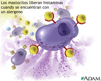 Neurotransamisor