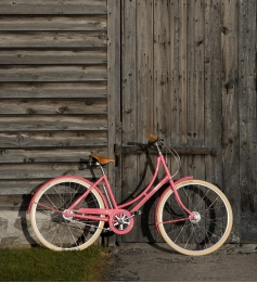 The Graphic Bee: Pashley Poppy