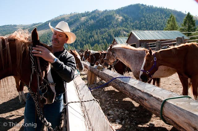 Thia's Blog: John & Mary's wedding at the Diamond D Ranch