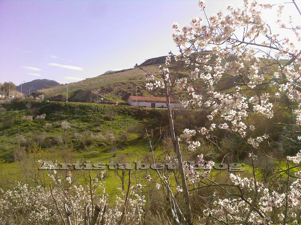 Bougaa, Setif, Algérie. N.E.W.S: Bougaa au printemps