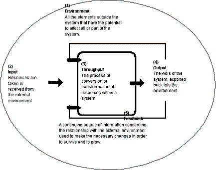 Welcome to the Synergy Cafe...: Open Systems Theory