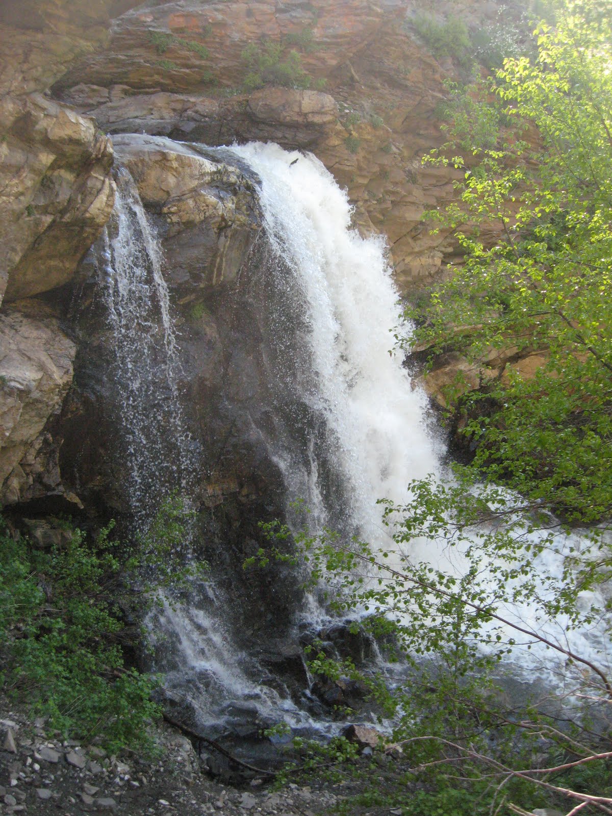 Falls of Utah: Upper Farmington Creek Waterfall