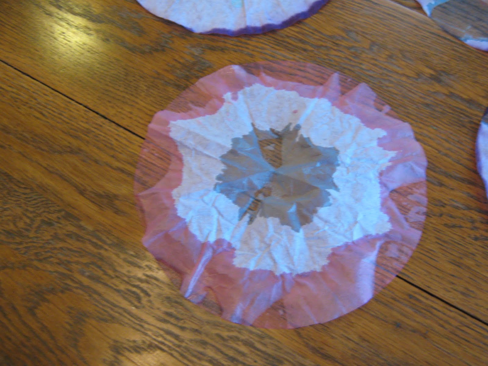 Almost Unschoolers: pH Indicator Art - Or More Fun With Red Cabbage ...
