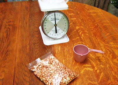 Almost Unschoolers: Peanut Brittle Math - Volume verses Weight