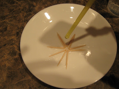 Almost Unschoolers: The Toothpick Star Trick - Fun With Capillary Action