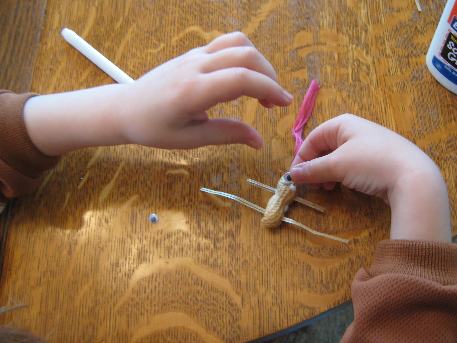 Almost Unschoolers: Peanut Shell Pals