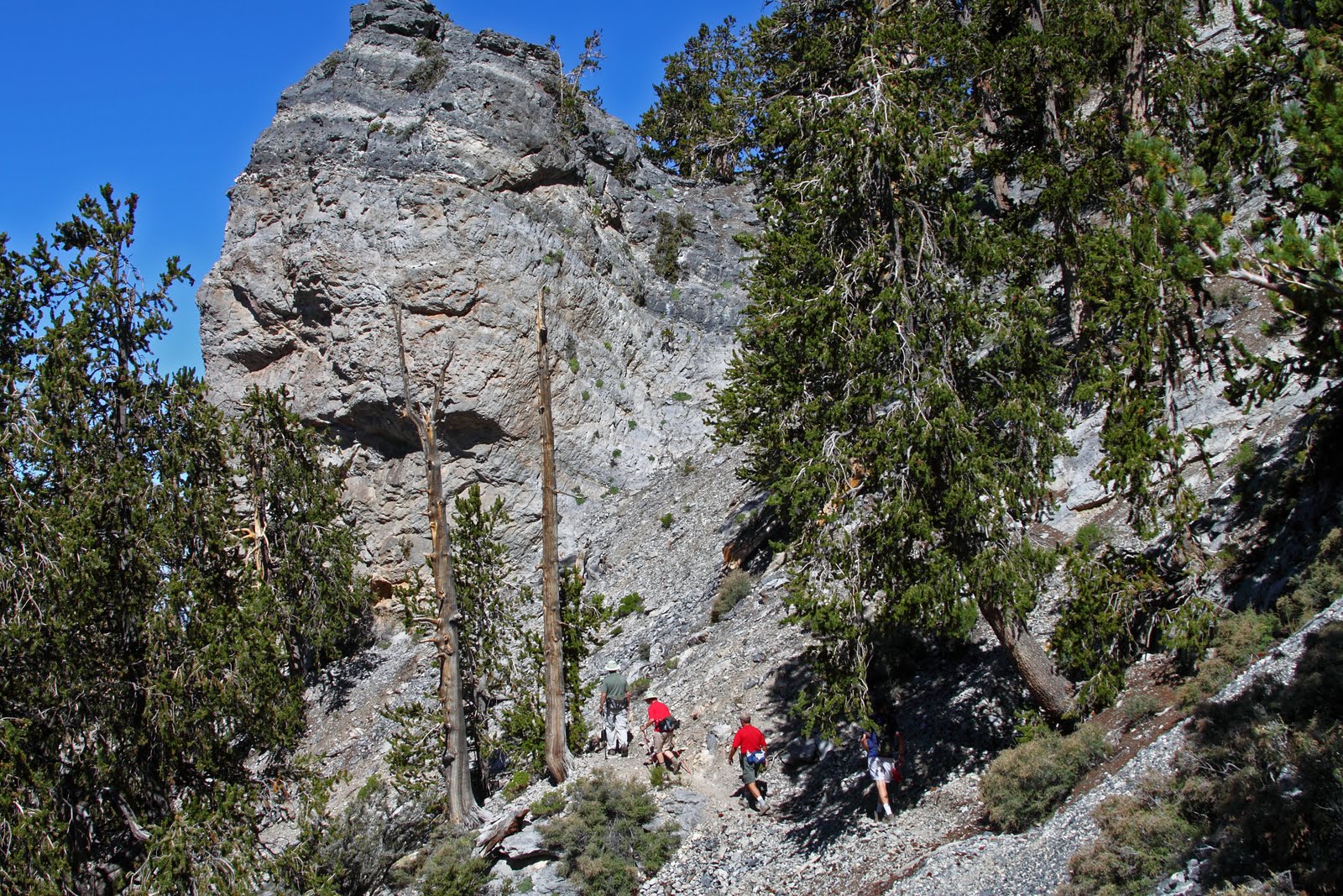 Hike Descriptions - (See disclaimer to right.)