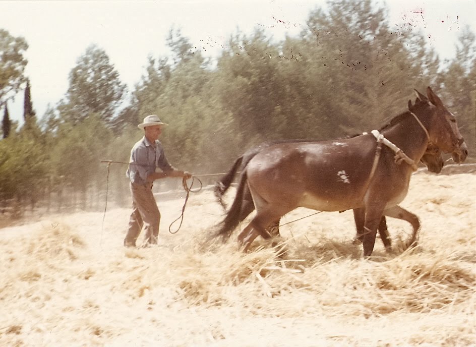 Latigo [1971] - chipmediaget