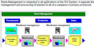 The SAP People: Batch Management Training material