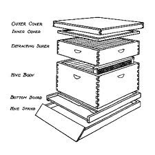 Get Langstroth hive plans 8 frame ~ plans woodworking