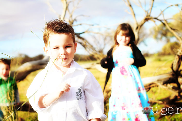 DanielleQ: Curiouser and Curiouser: Hilder family