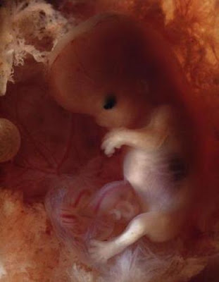 Mom and Baby: 25th Week of Pregnancy