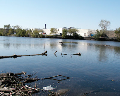 Caught In The Stream: Chicago River Clean Up 2007: How I spent my day ...