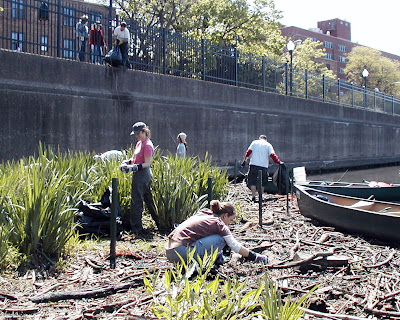 Caught In The Stream: Chicago River Clean Up 2007: How I spent my day ...