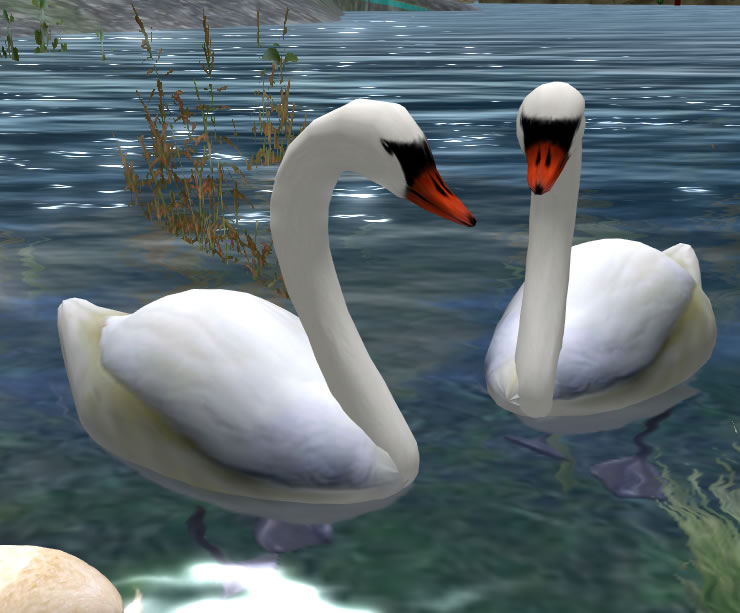 TOMATO PARK: Animated swan family(copyable)