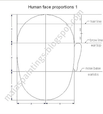 Human face drawing-face proportions