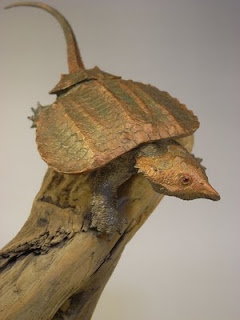 Hirokazu Tokugawa's Paleo Sculpture: Psephoderma 6