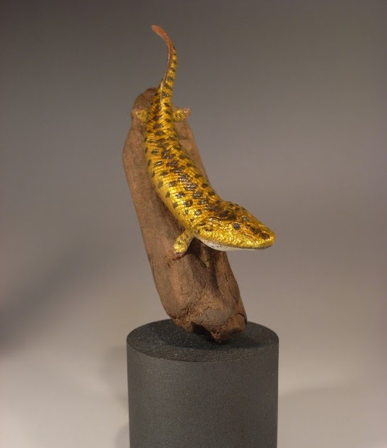 Hirokazu Tokugawa's Paleo Sculpture: Tiktaalik roseae 9