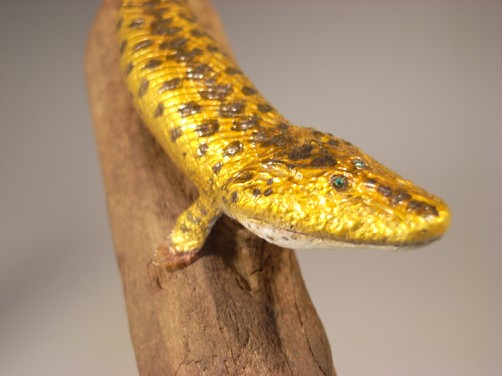 Hirokazu Tokugawa's Paleo Sculpture: Tiktaalik roseae 9